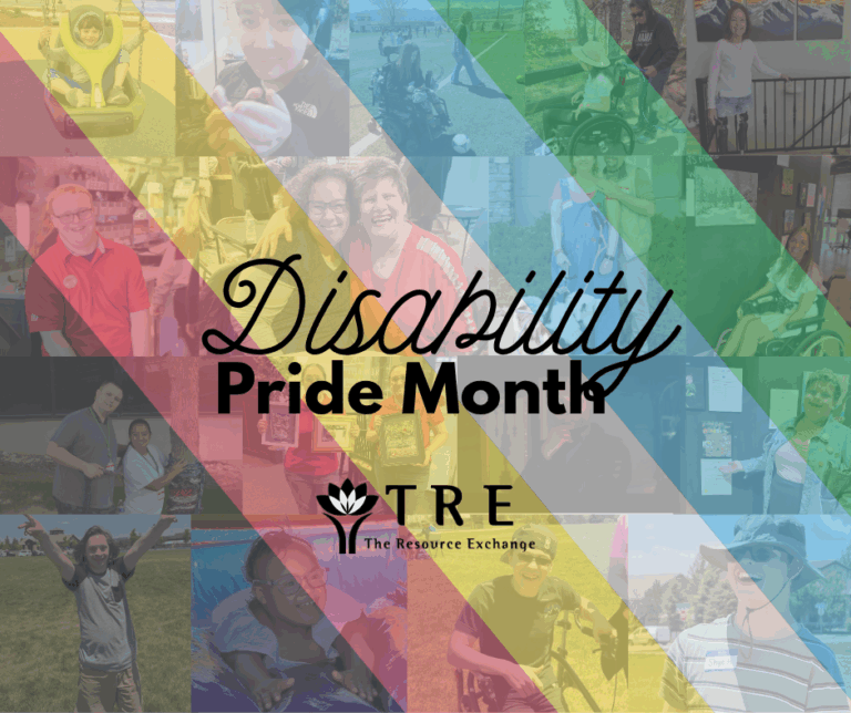 The Disability Pride Flag: A Symbol of Inclusion, Accessibility, and ...